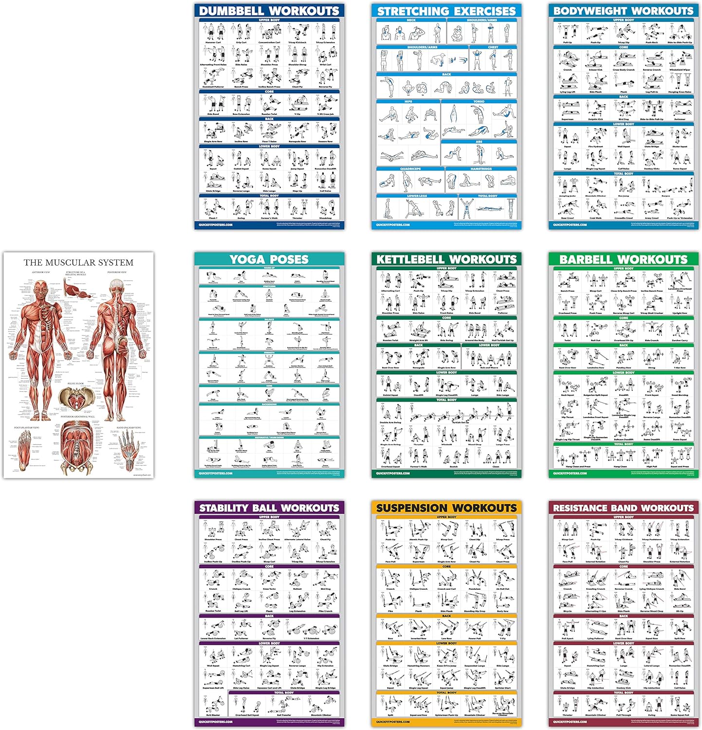 Ultimate Fitness Poster Set - 10 Pack - Workouts for Every Body Part ...