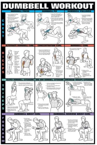 ALGRA Dumbbell Charts - Maximize Your Workout! – GearMustHave