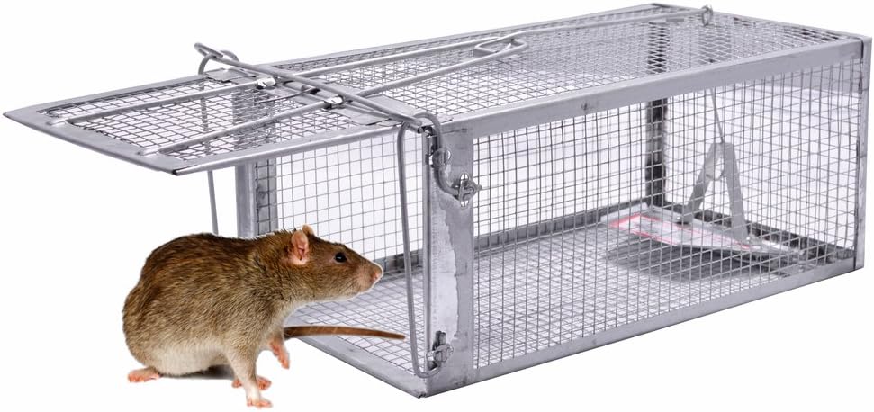 Humane Mouse Cage Trap - Catch & Release Pests – GearMustHave