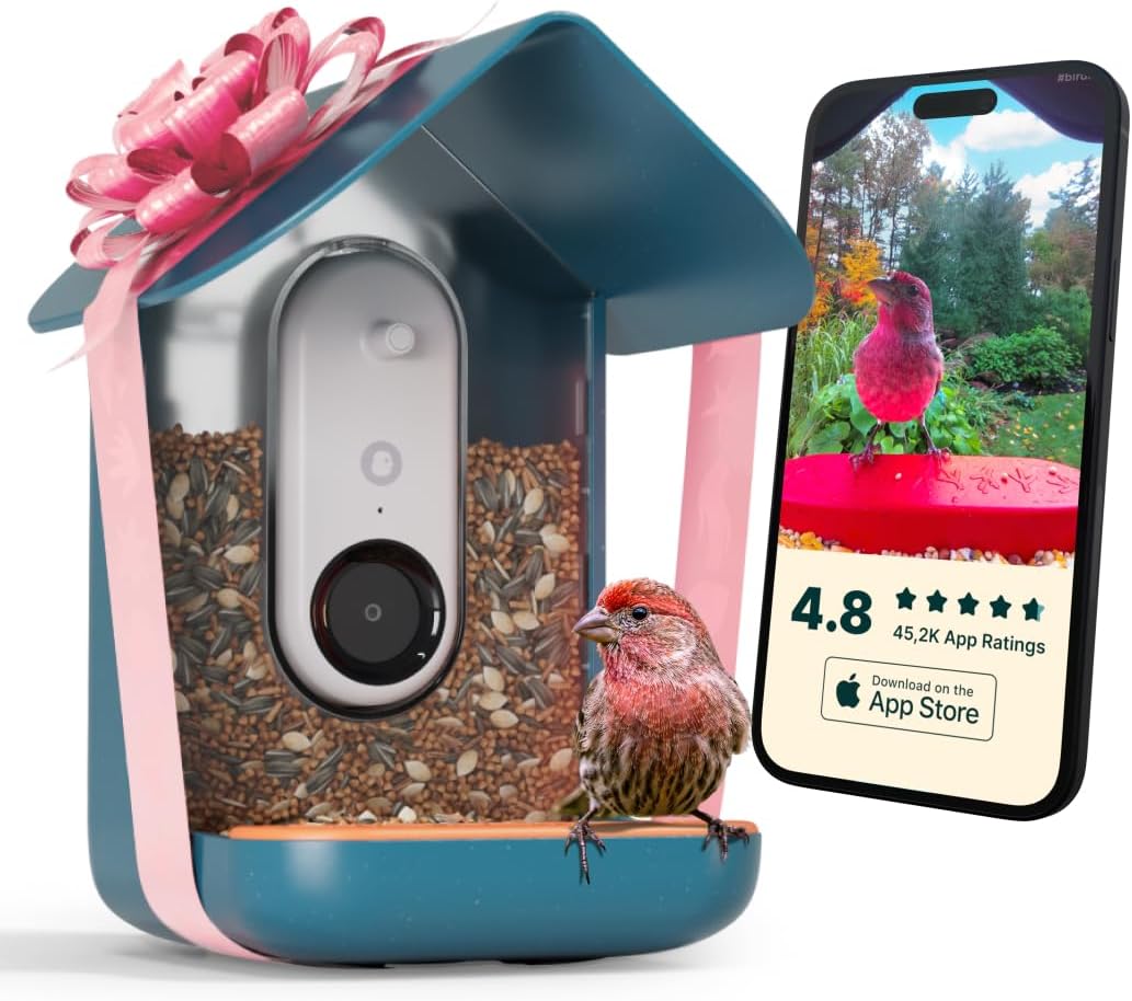 Bird Buddy Smart Bird Feeder: Ai Species ID, HD Camera, Live Stream ...