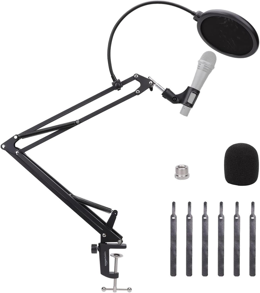 Pro-grade Mic Setup for Ultimate Sound Clarity | Basics – GearMustHave