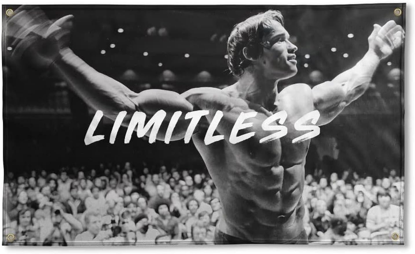 Arnold Schwarzenegger Gym Motivation Flag - Durable 3x5 ft Poster ...