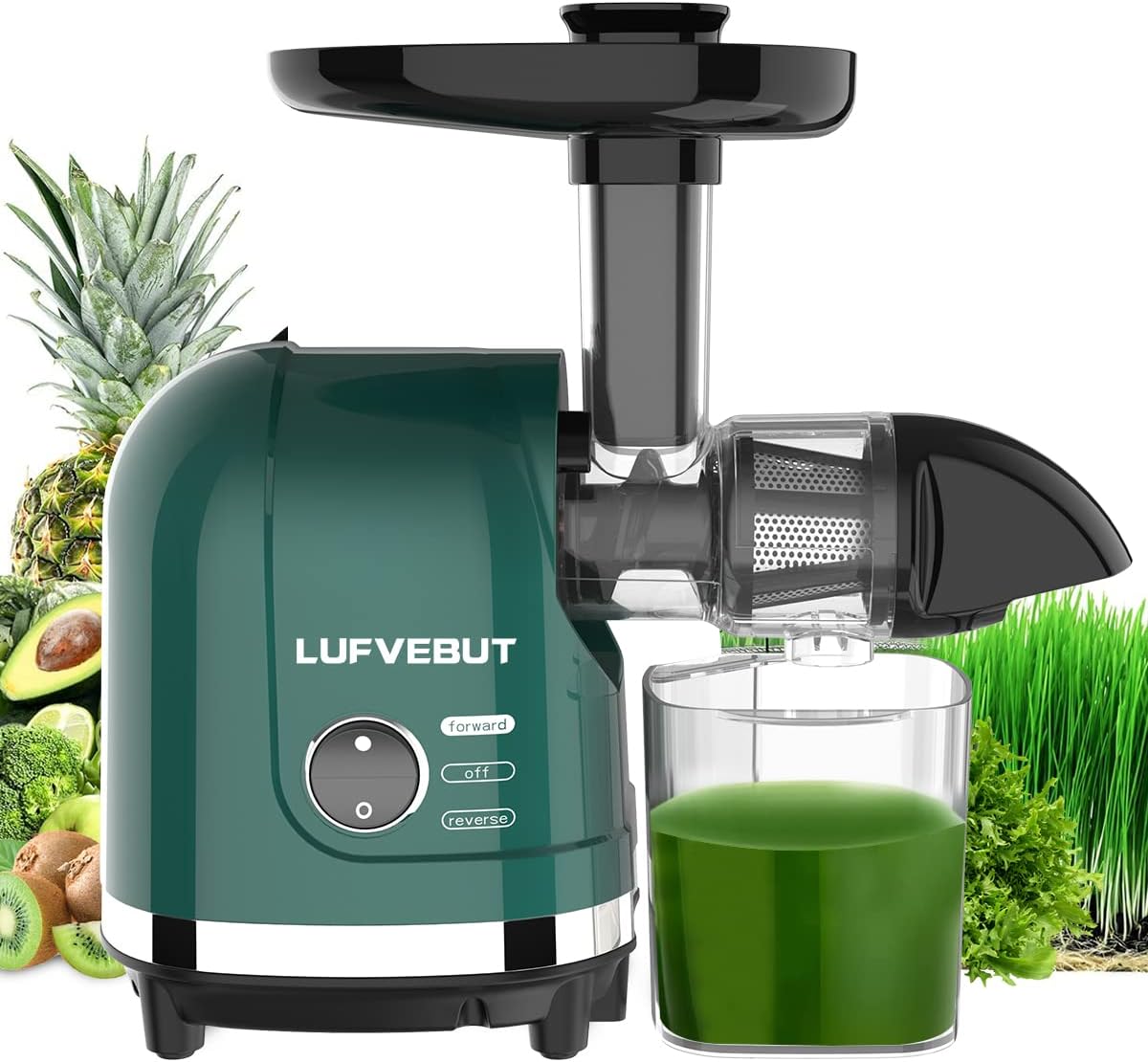 Nutrient-Packed Cold Press Juicer - Pulp Separated – GearMustHave