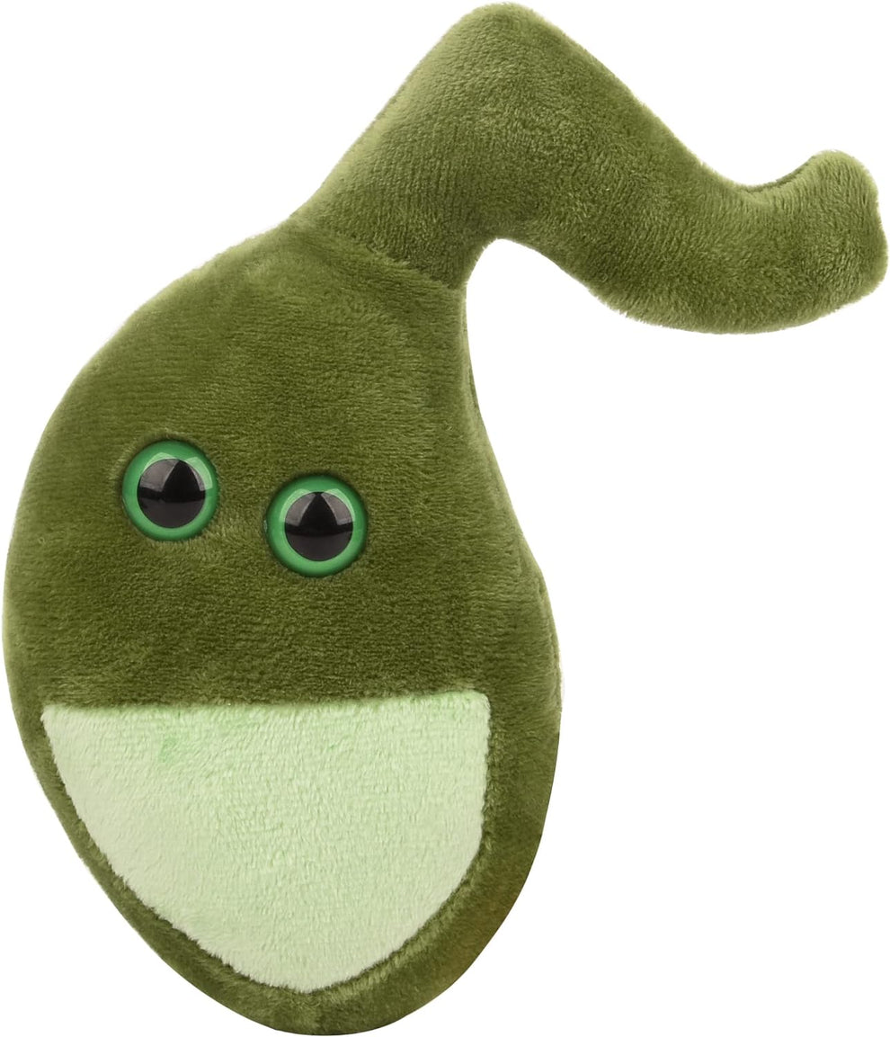 Gallbladder Plush: Unique Surgery Recovery Gift – GearMustHave
