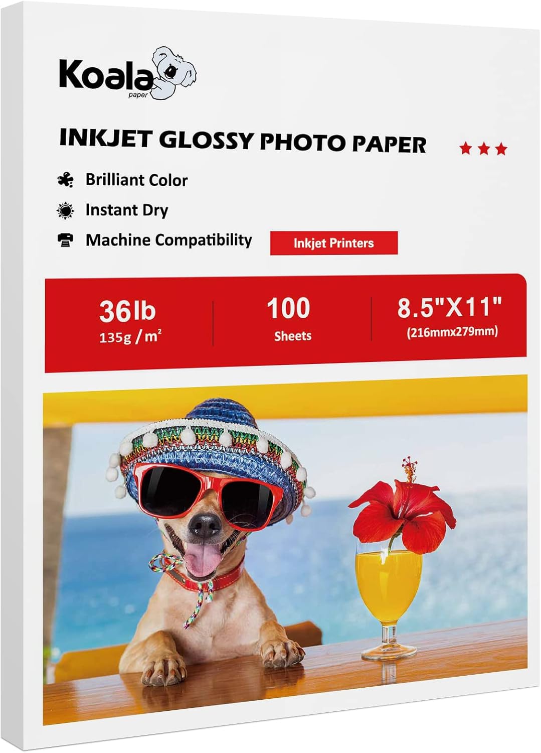 KOALA PAPER: Glossy 8.5x11 DIY Printer Paper - 100 Sheets – GearMustHave