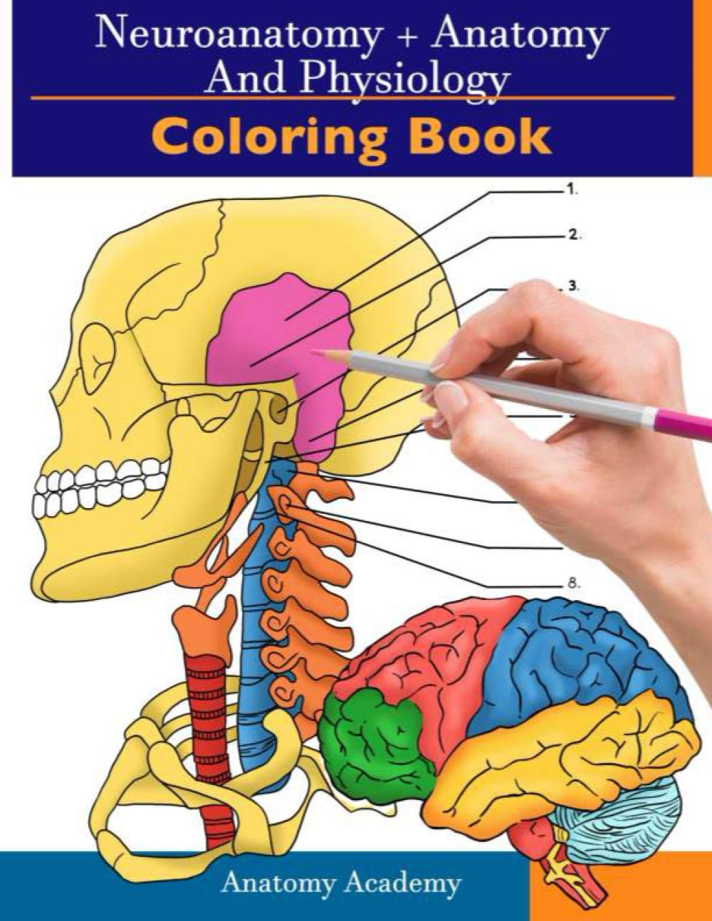 Ultimate Anatomy Coloring Set: Detailed Study & Relaxation – GearMustHave