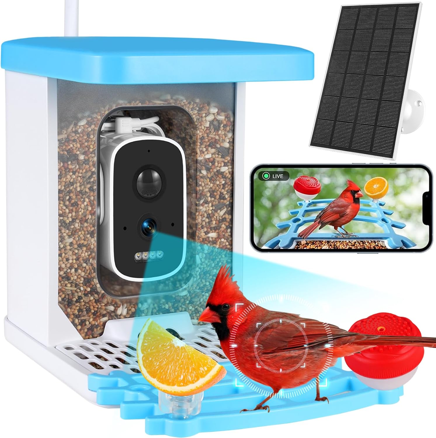 AI Bird Feeder Cam - Auto Capture 2.5K Videos! – GearMustHave