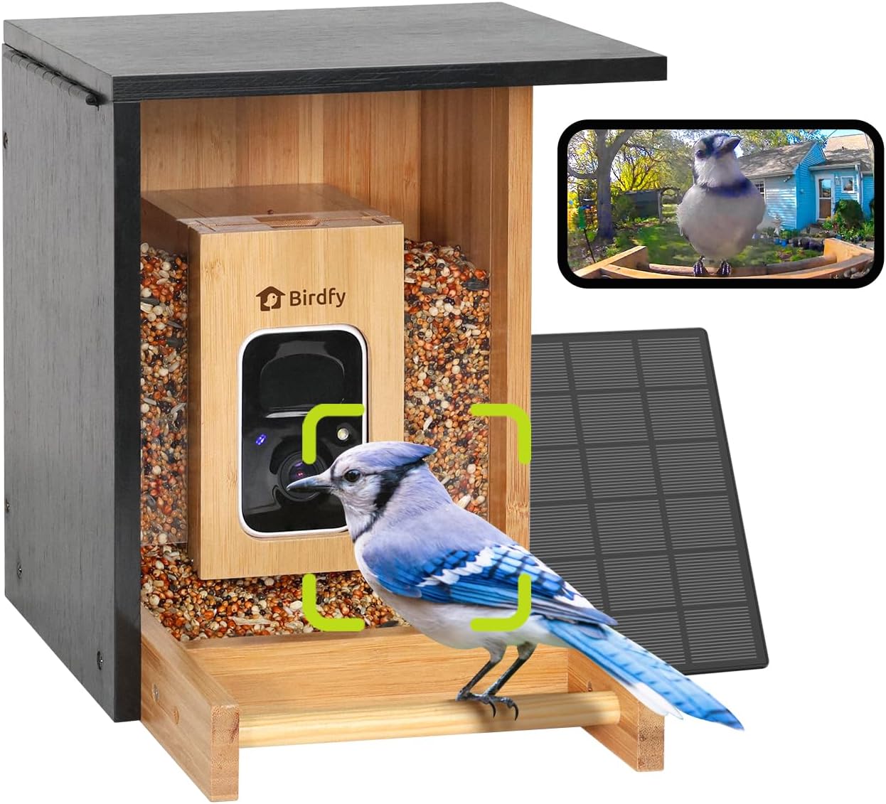 Birdfy AI Feeder: Identify 6000+ Birds! – GearMustHave