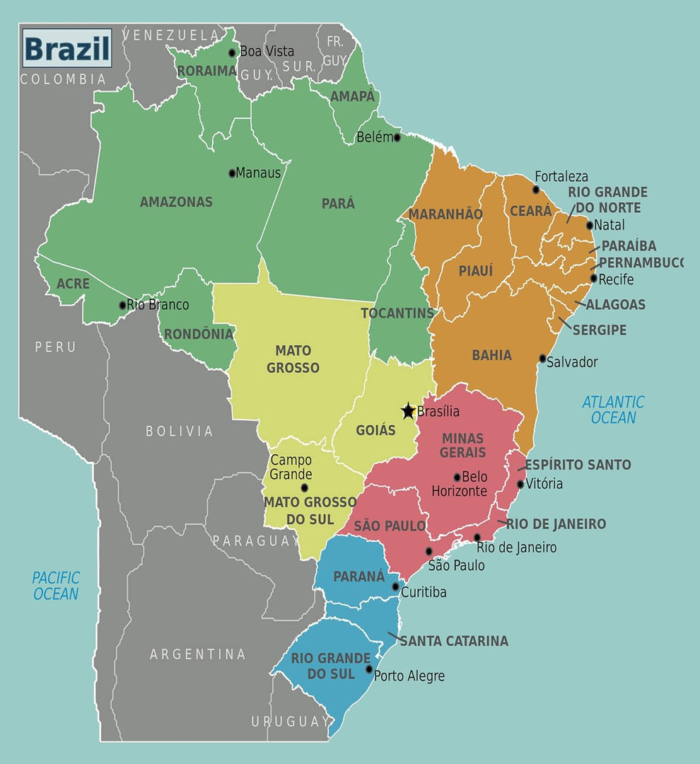 Brazil Regions Map - 22x24 Laminated Poster – GearMustHave