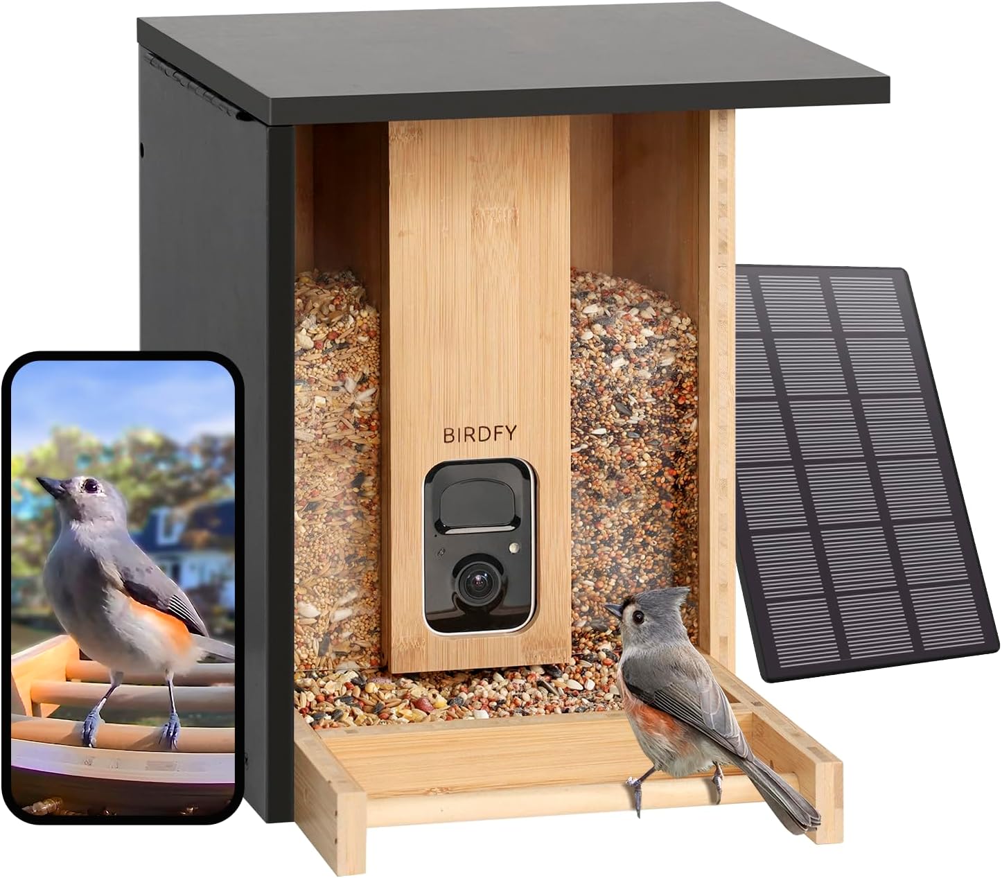 Smart Solar Bird Feeder with AI Recognition – GearMustHave