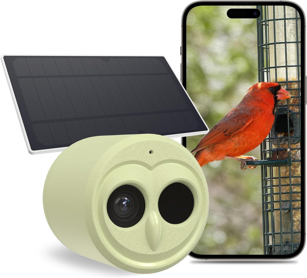 Hibird Smart Bird Watching Camera with AI Identify – GearMustHave