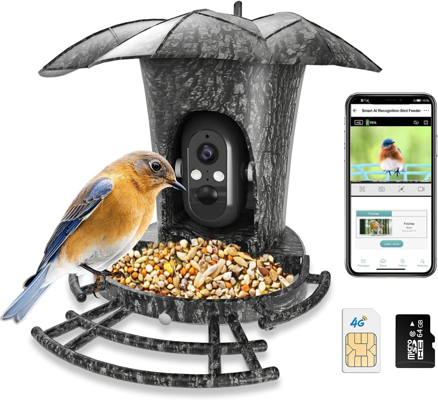AI Bird Species Identification - Smart 4G Bird Feeder – GearMustHave