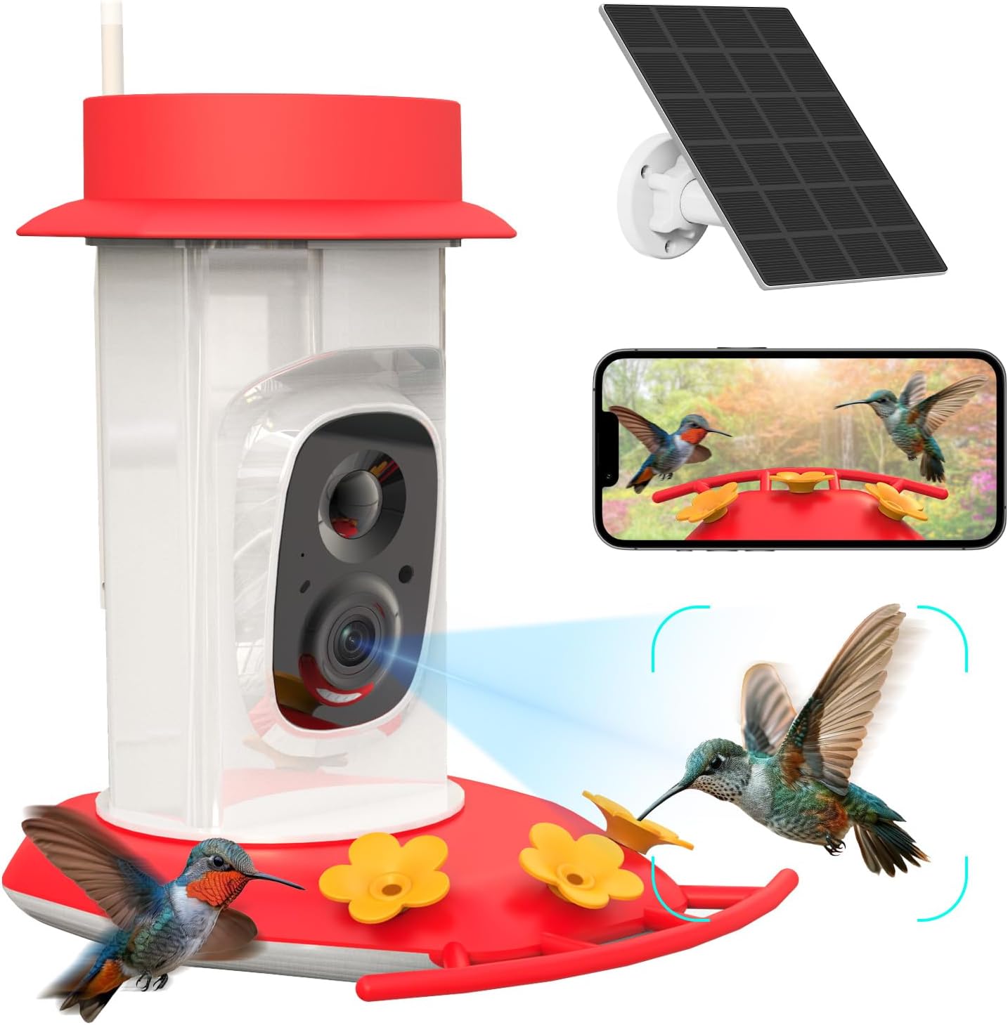 Smart Solar Hummingbird Feeder - Bird Cam with AI – GearMustHave