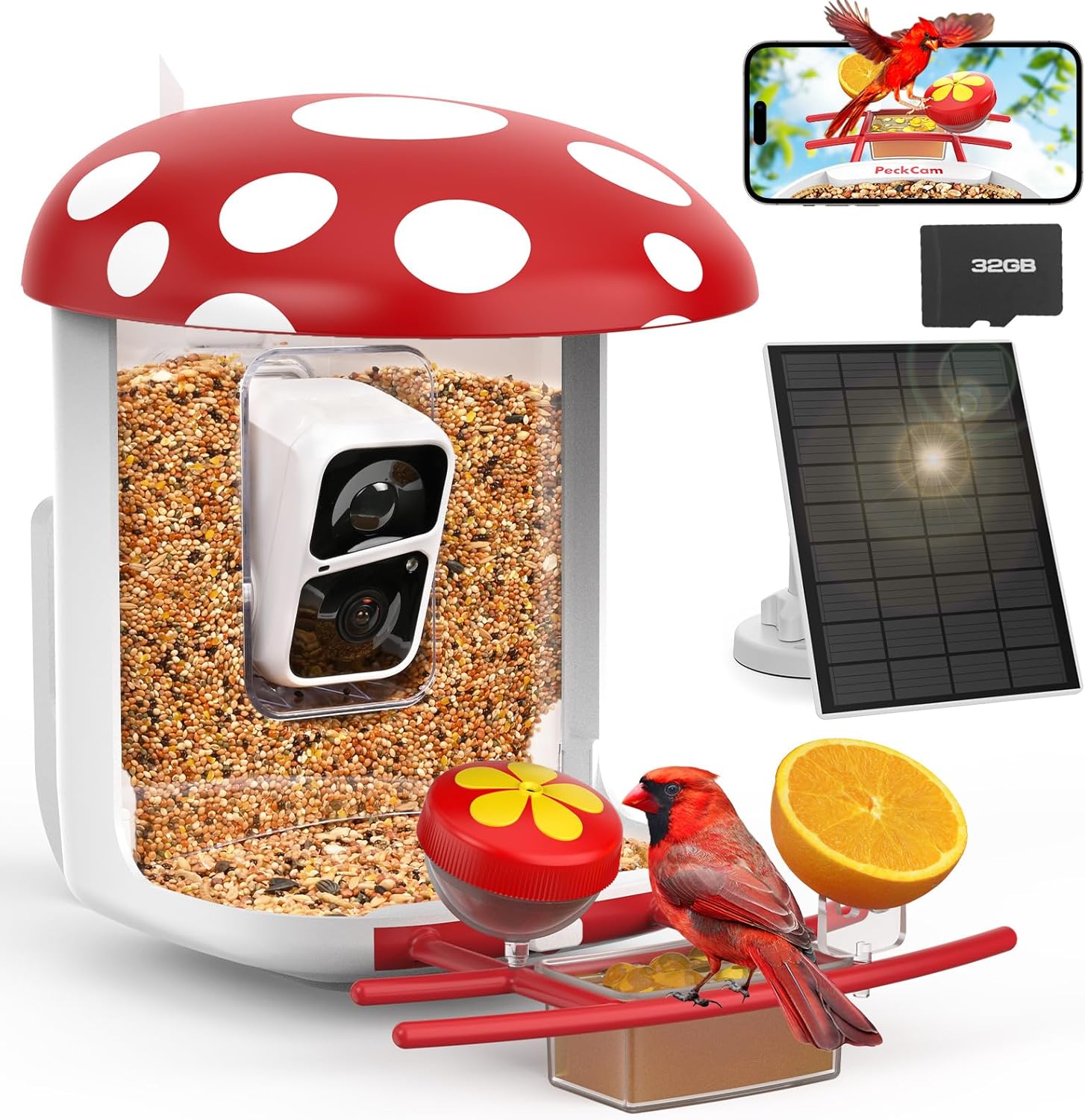 Wireless Bird Feeder Cam: Real-Time AI Identify – GearMustHave
