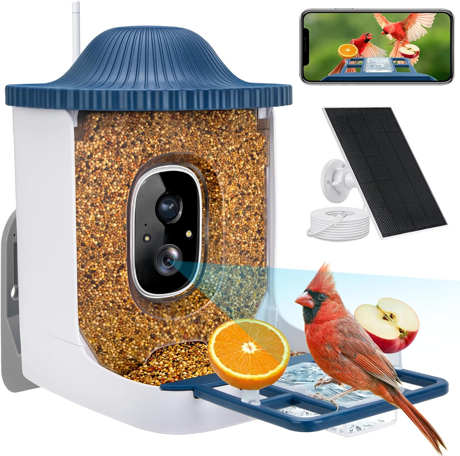 BirdDock: AI Smart Feeder - Identify 11000+ Species! – GearMustHave