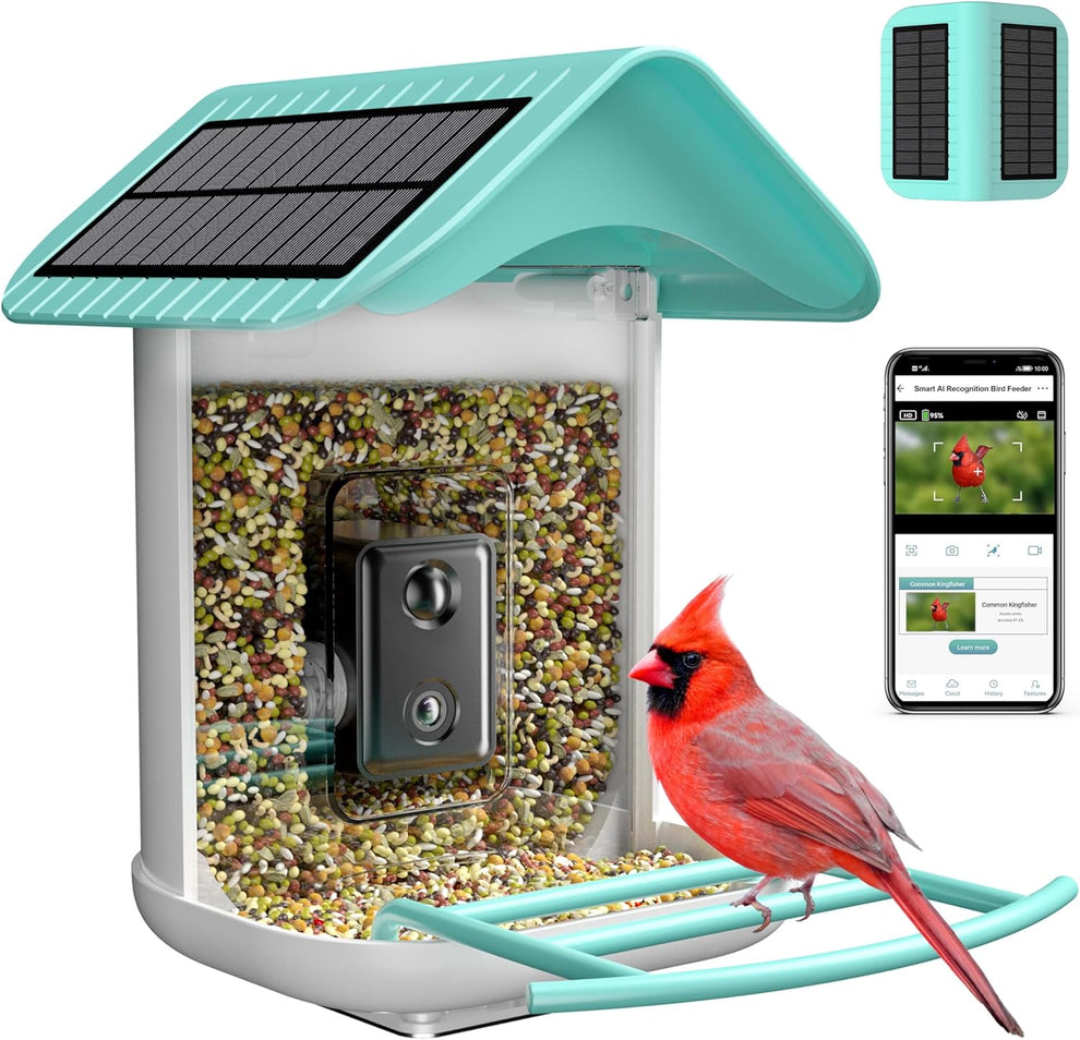 Wireless Bird Feeder Camera with 11K Species Recognition – GearMustHave