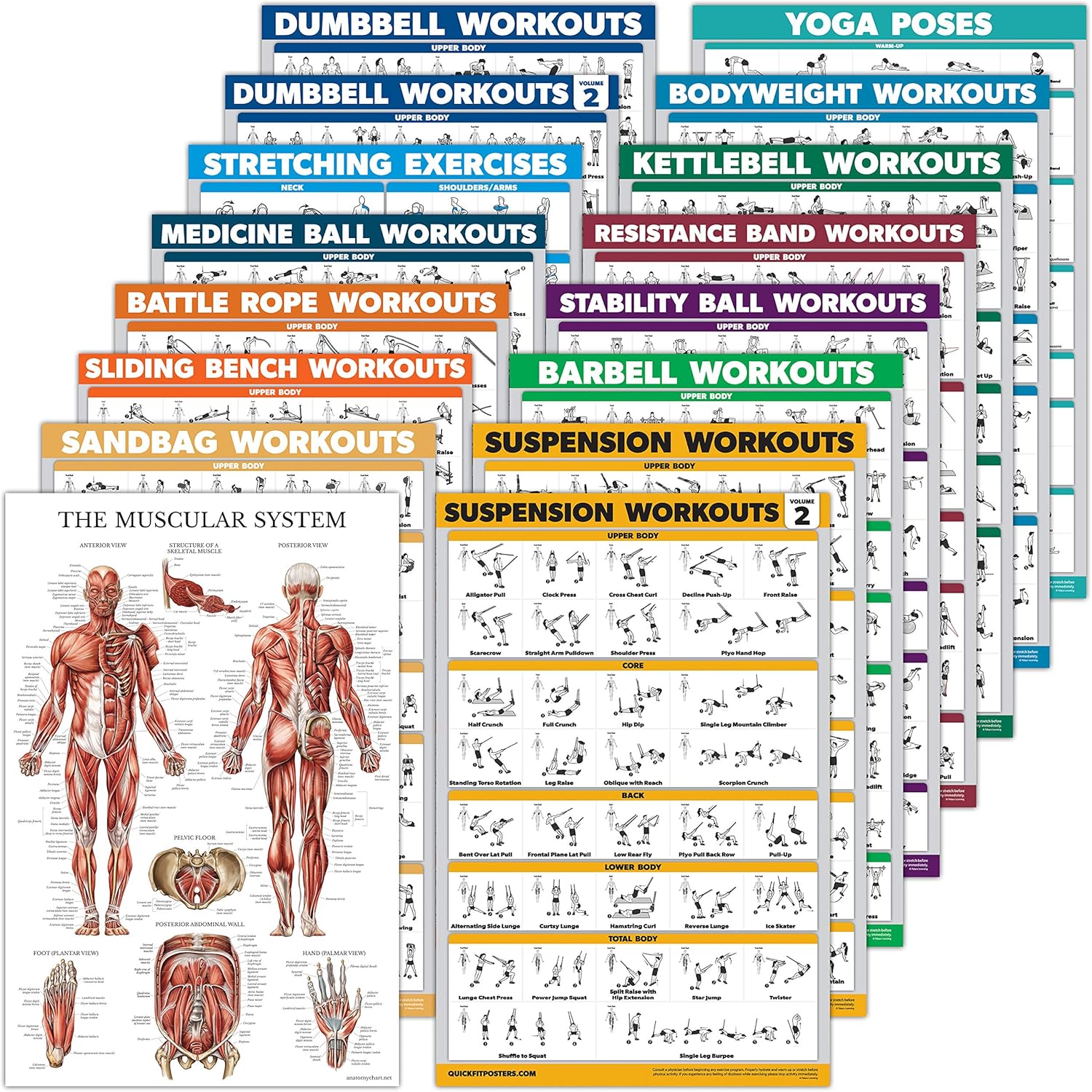 Ultimate Workout Poster Set: 16 Pack - Paper, Not Laminated - Fitness ...