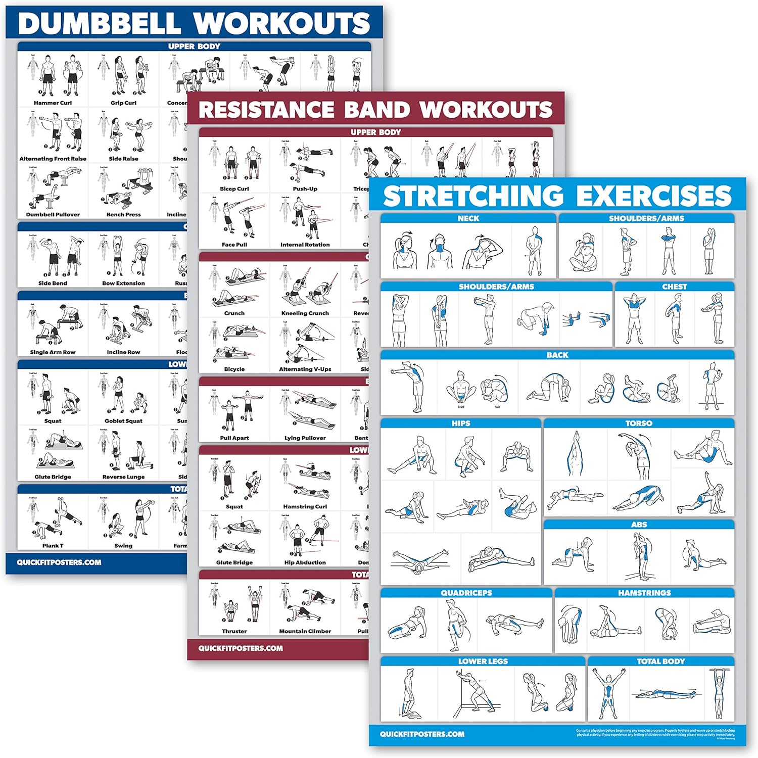Total Fitness Pack: Dumbbell + Bands + Stretch - 3 Charts! – GearMustHave