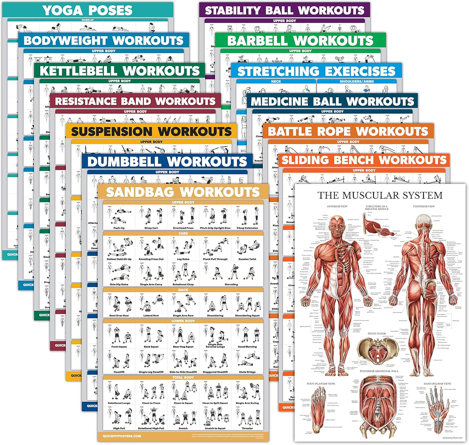 Ultimate Exercise Poster Set - 14 Pack – GearMustHave