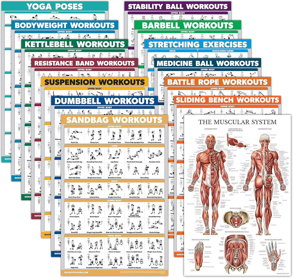 Ultimate Exercise Poster Set - 14 Pack – GearMustHave