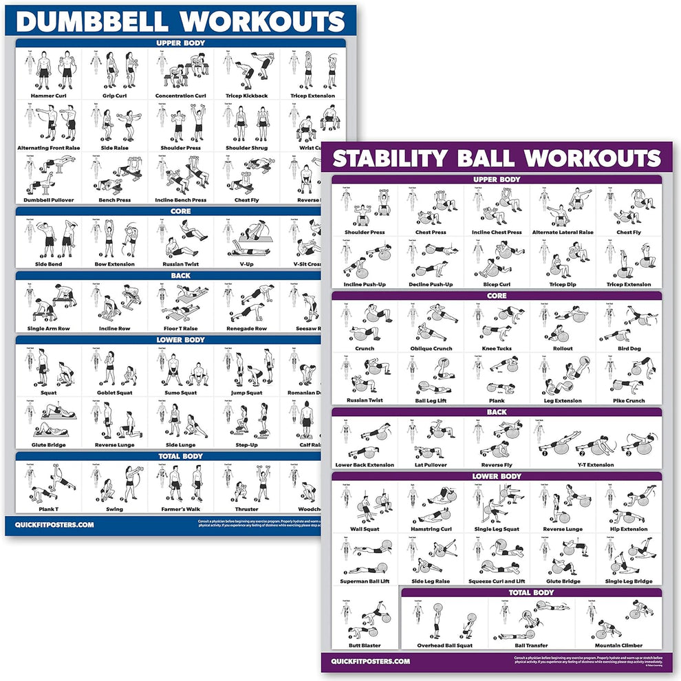 Laminated Exercise Charts - Dumbbell & Ball Workouts - Palace Learning ...