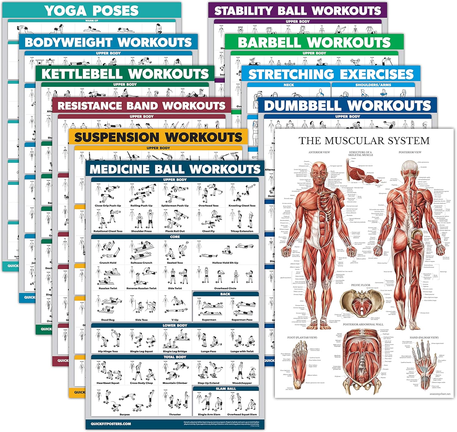 Review - Ultimate Exercise Poster Set - 11 Pack – GearMustHave