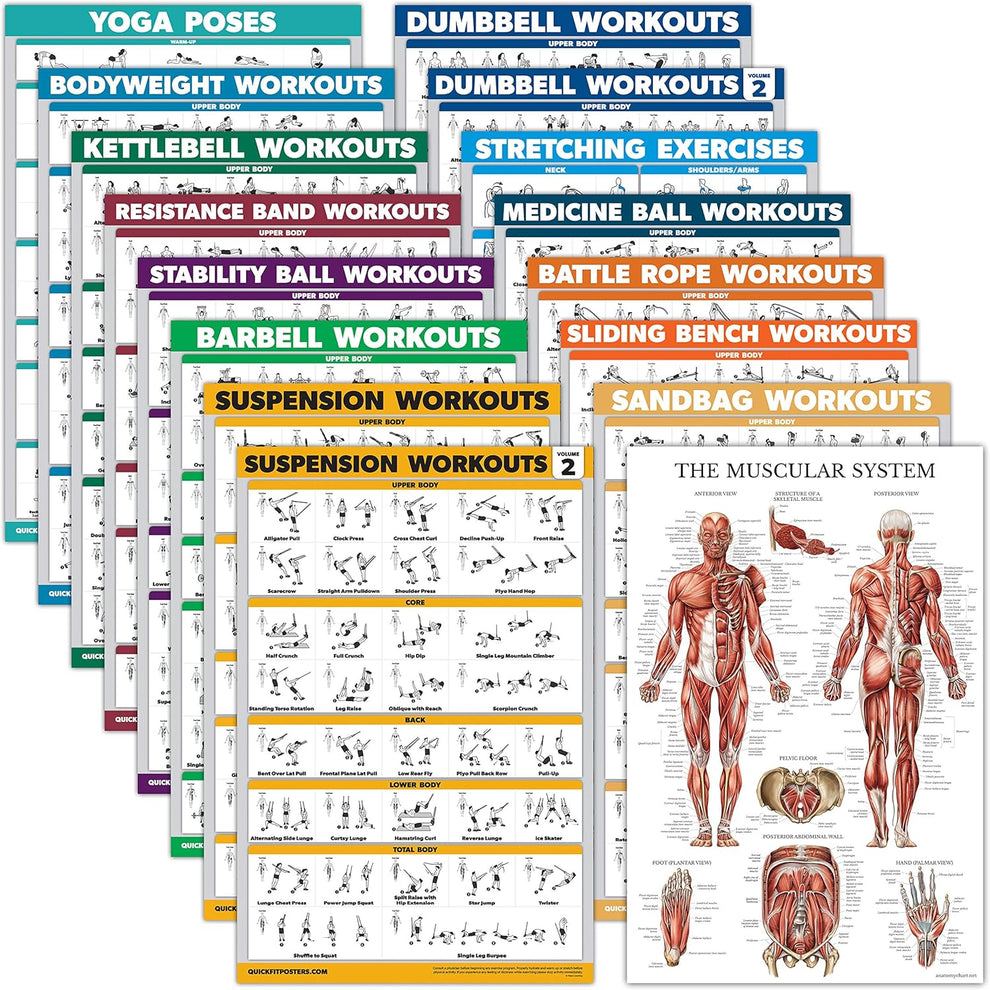 Ultimate 16 Pack Exercise Poster Set by Palace Learning – GearMustHave